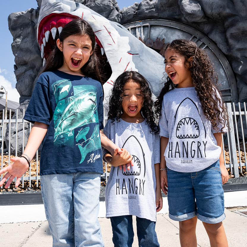 Landry's Select Club | Earn, Redeem, and Shop Online – Landry's Inc.